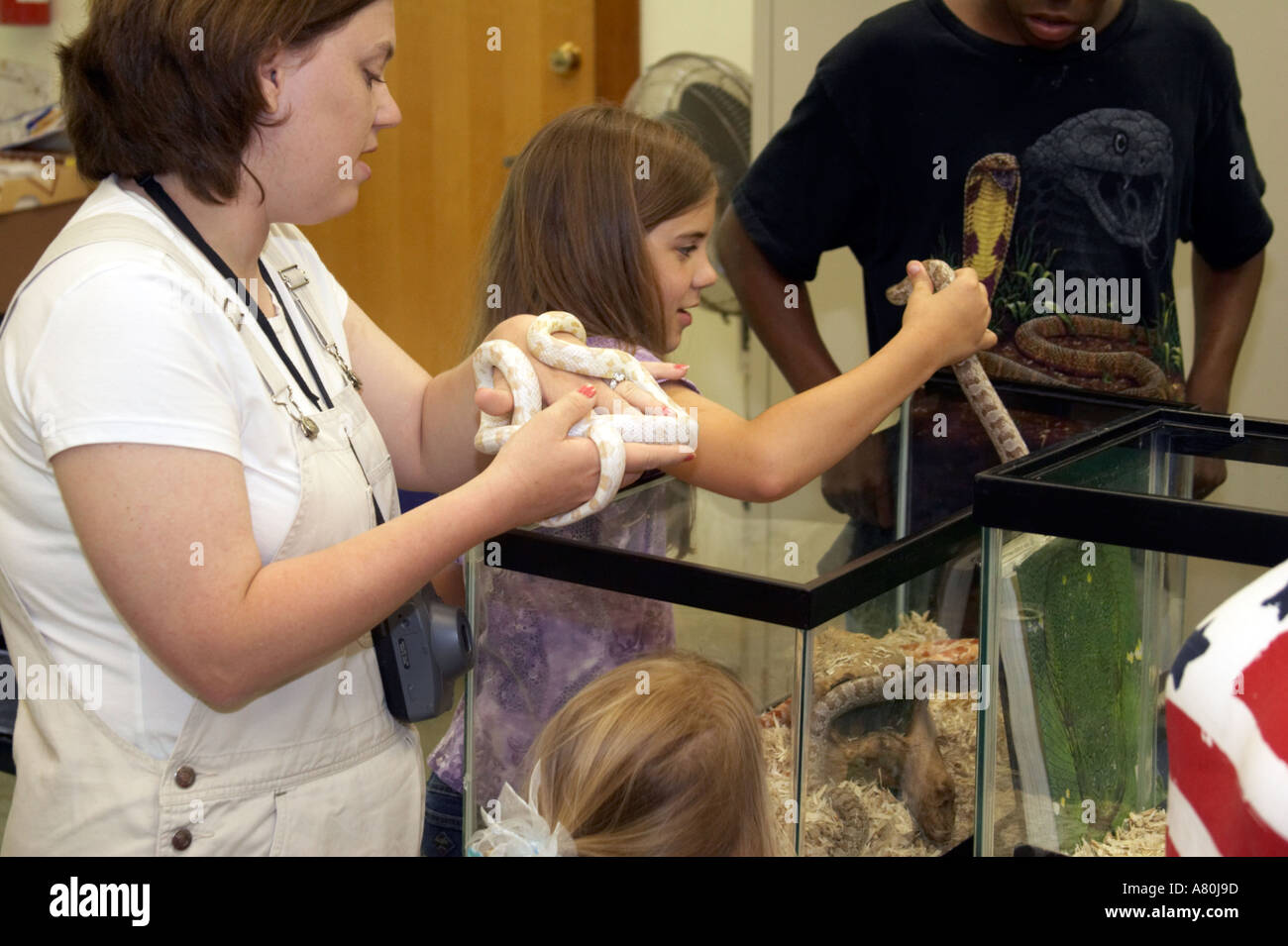 Playing with snakes at a reptile show Stock Photo - Alamy