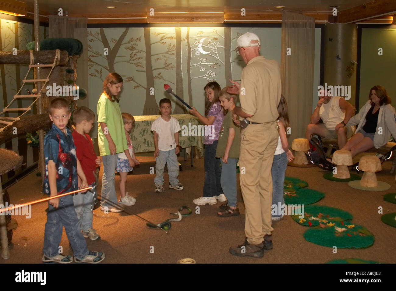 Naturalist snake handler demonstrating techniques to children in a ...