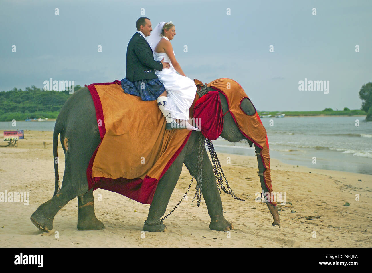 Wedding with elephants 60 photos - Astyledwedding.com