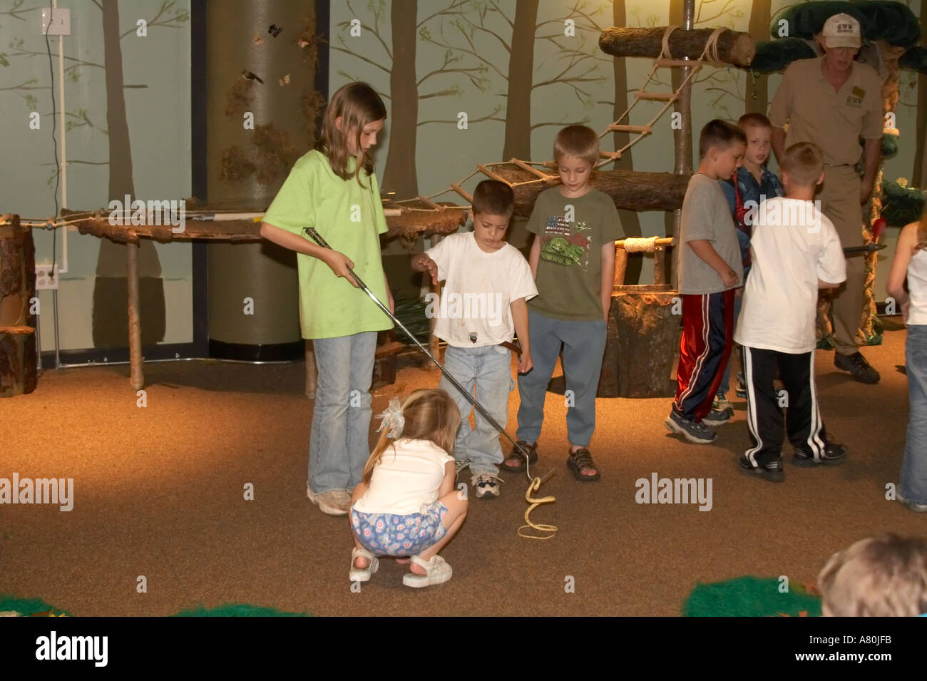 Children practicing snake handling techniques in a nature classroom ...