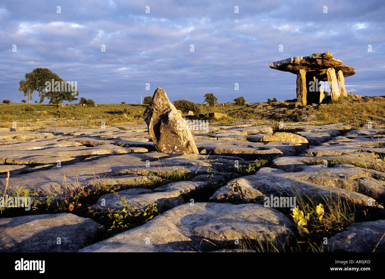 Ireland, Clare county, Poulnabrone dolmen Stock Photo - Alamy