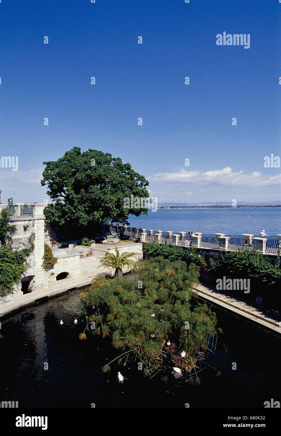 Sicily spring of arethusa hi-res stock photography and images - Alamy