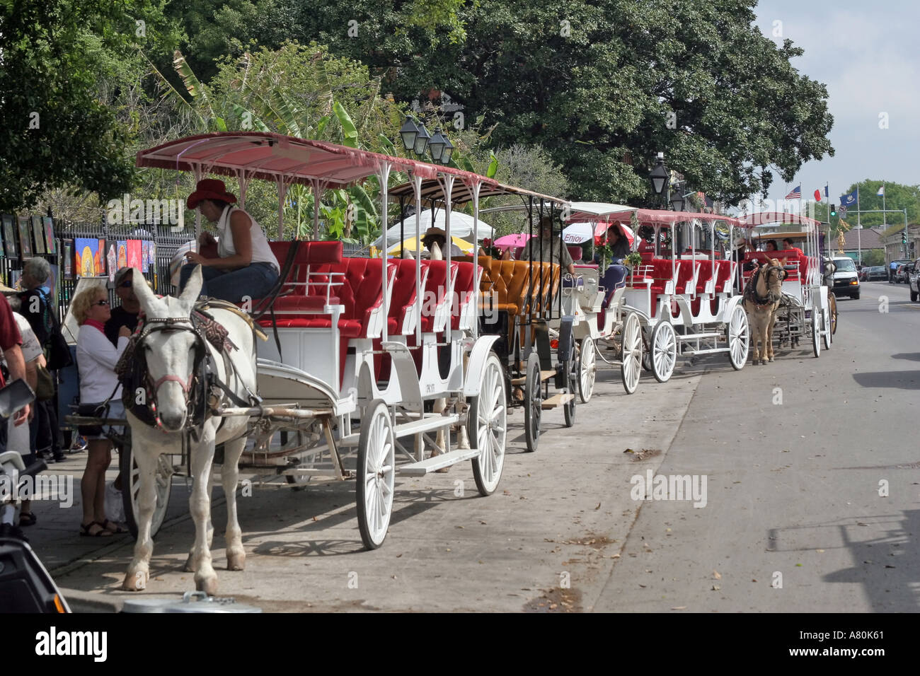 Horse drawn carriages lined up in front of Jackson Square New Orleans ...