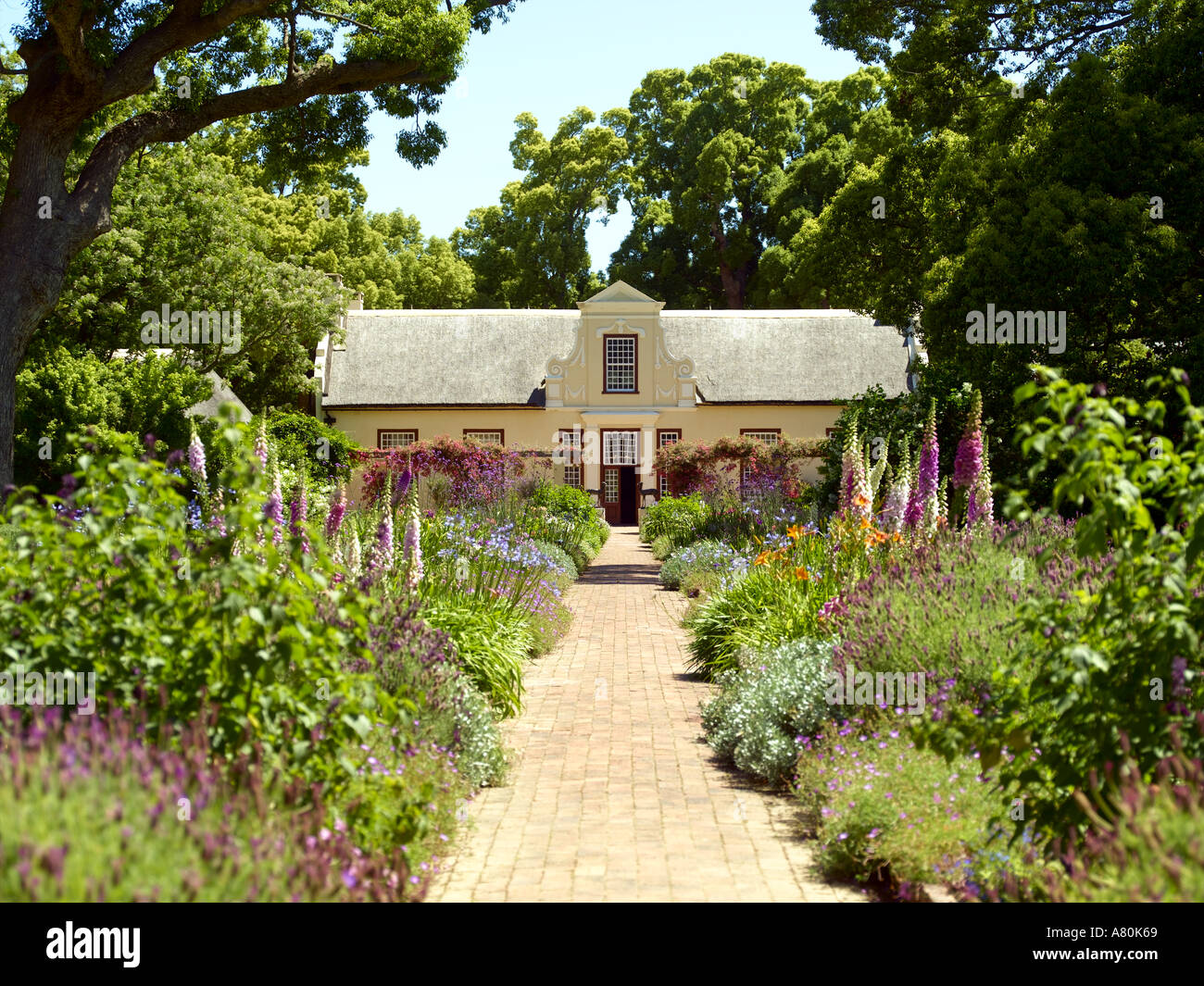 Cape dutch manor house vergelegen hi-res stock photography and images ...
