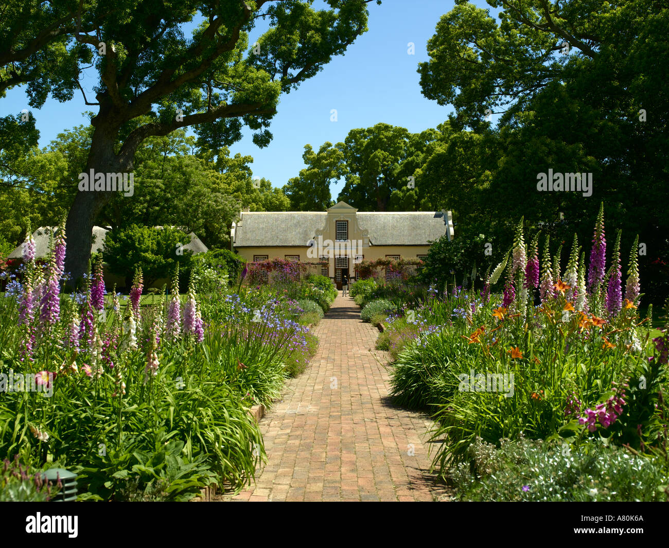 Cape dutch manor house vergelegen hi-res stock photography and images ...