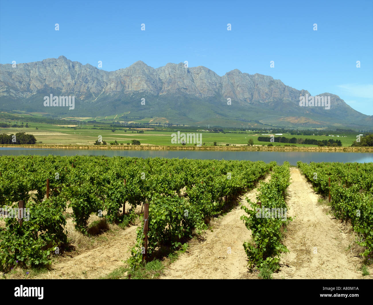Worcester, Breede River Valley Stock Photo - Alamy