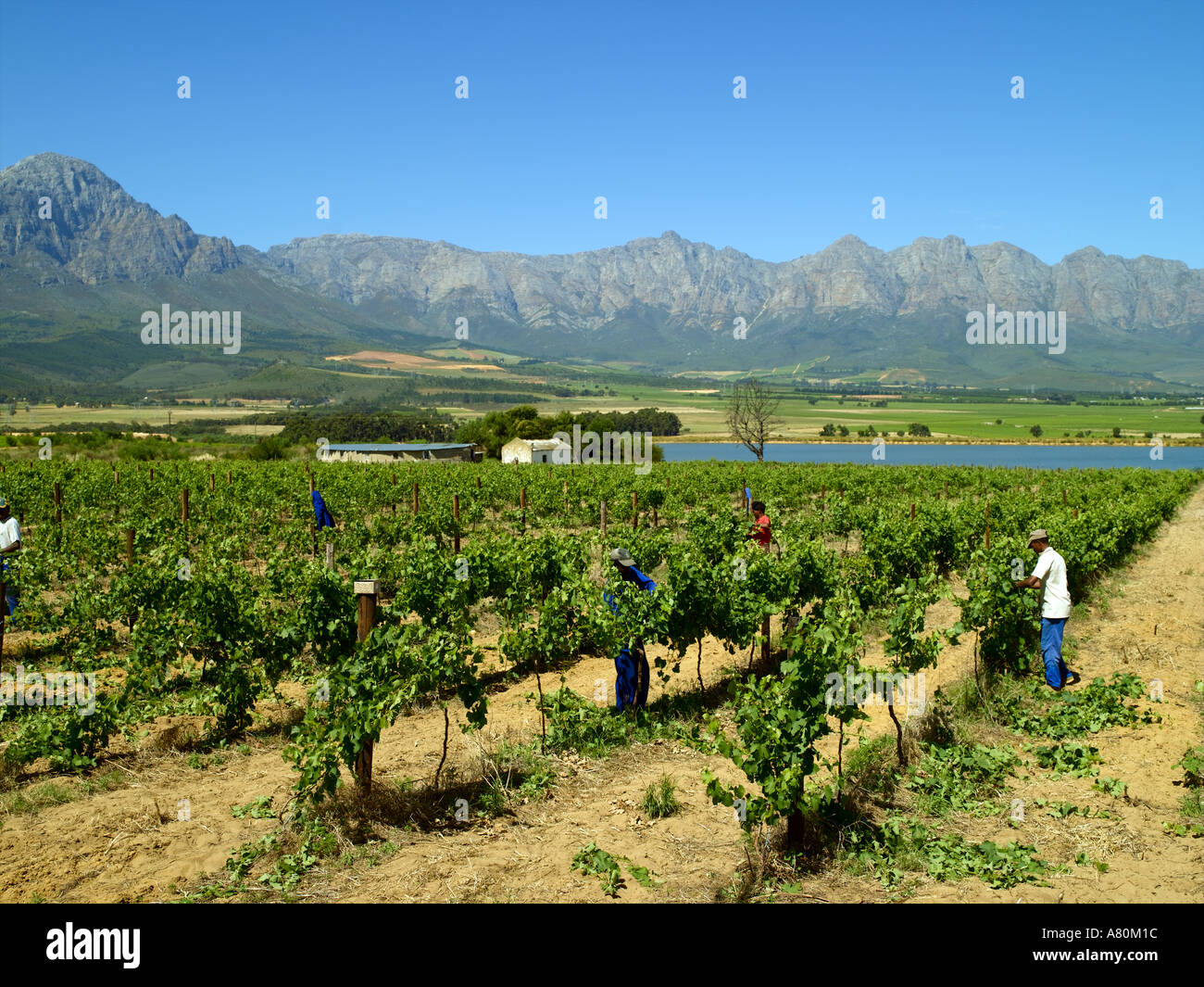 Breede river valley hi-res stock photography and images - Alamy