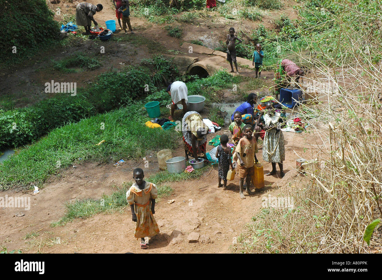 Washing Clothes in the stream Stock Photo - Alamy