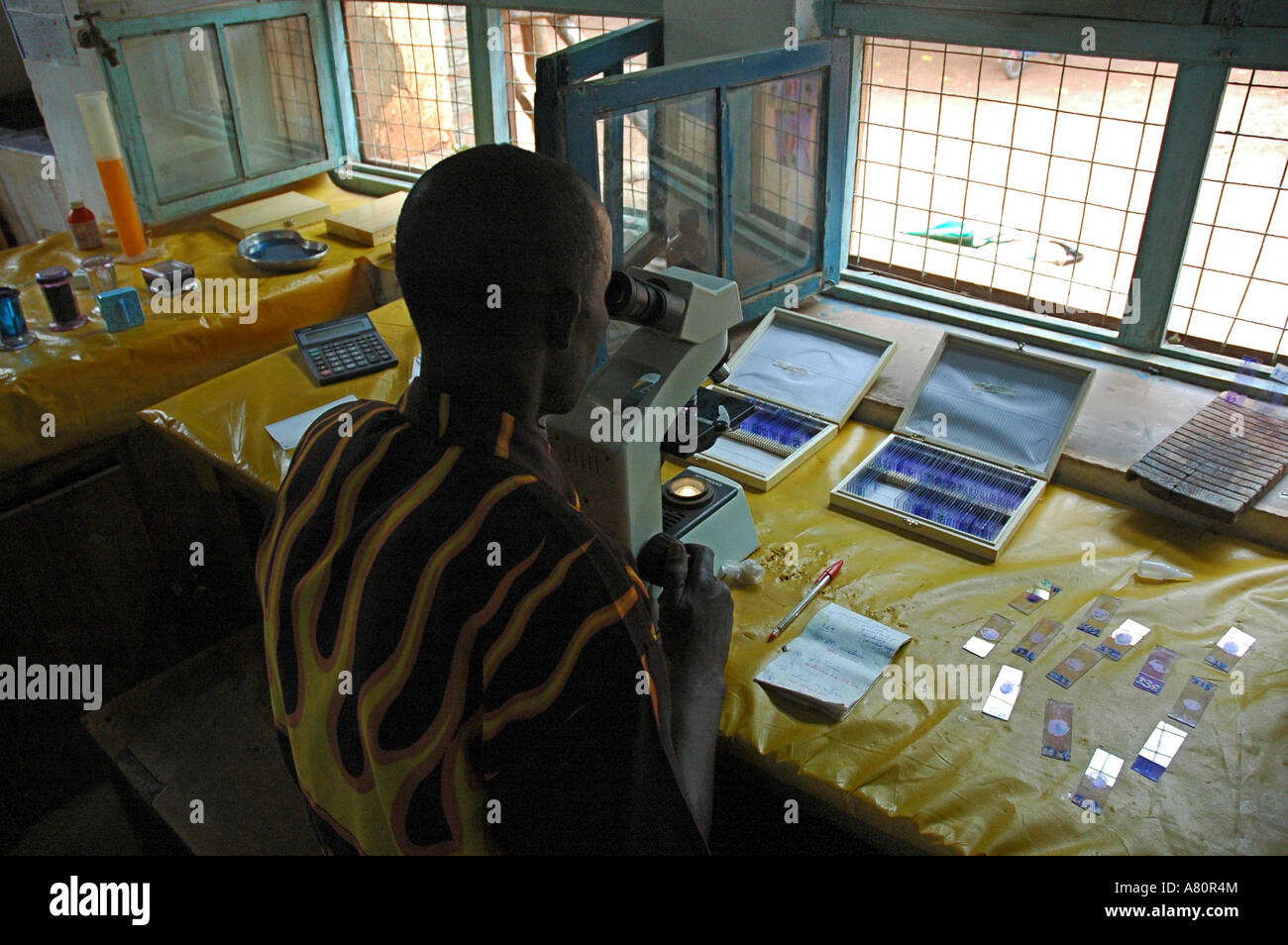 Working in the Lab Stock Photo - Alamy