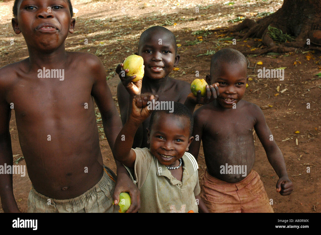 Young children eating mangos Stock Photo - Alamy