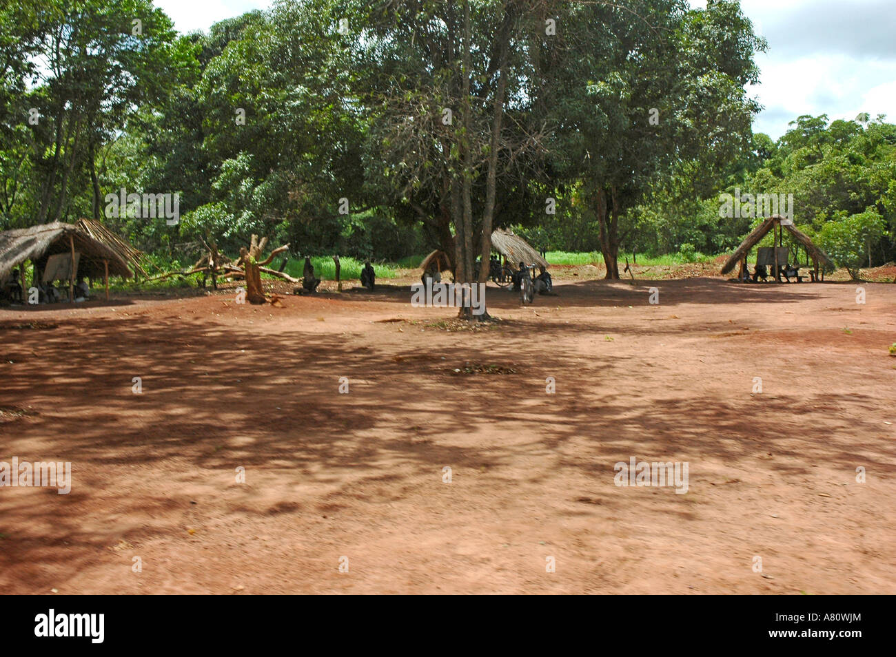 School under the trees Stock Photo - Alamy