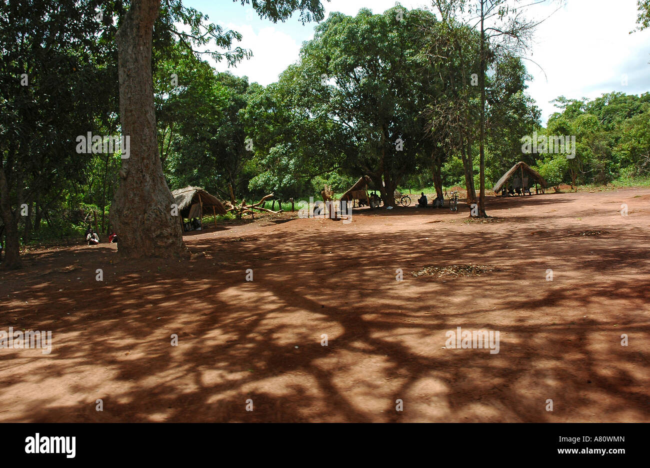 School under the trees Stock Photo - Alamy