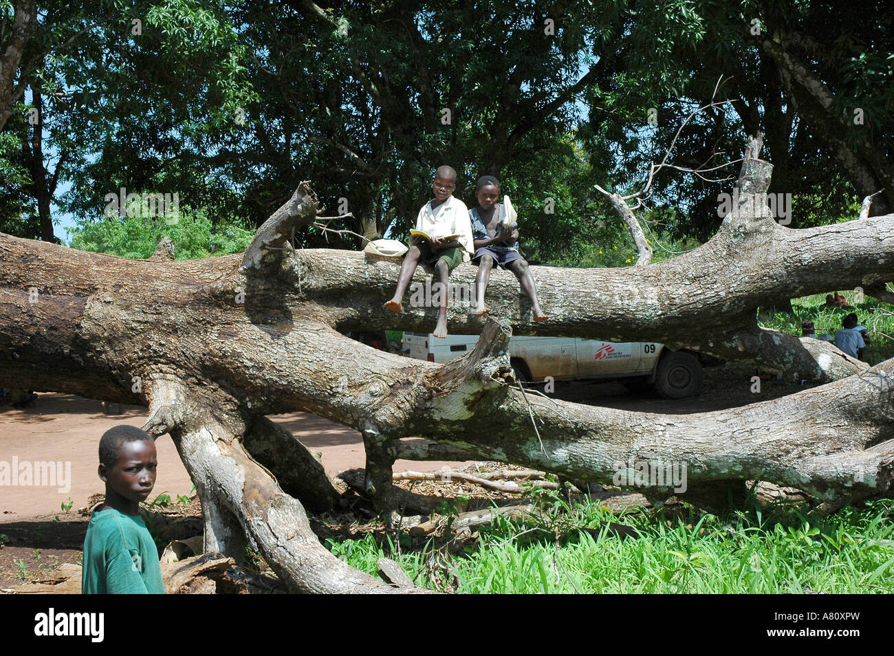 Two Children on a fallen tree Stock Photo - Alamy