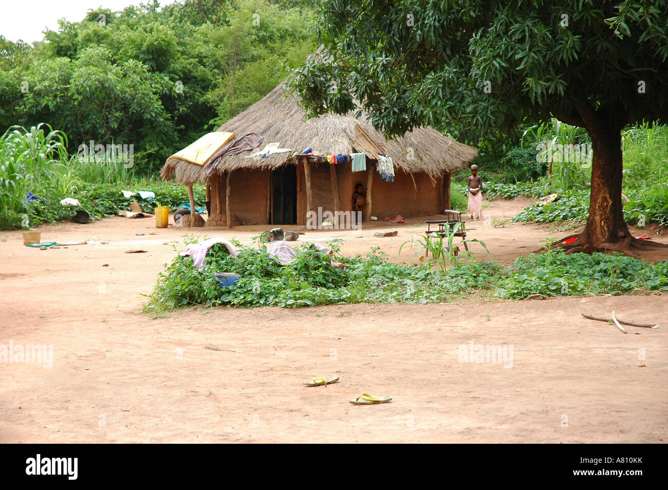 Zande tribe hi-res stock photography and images - Alamy