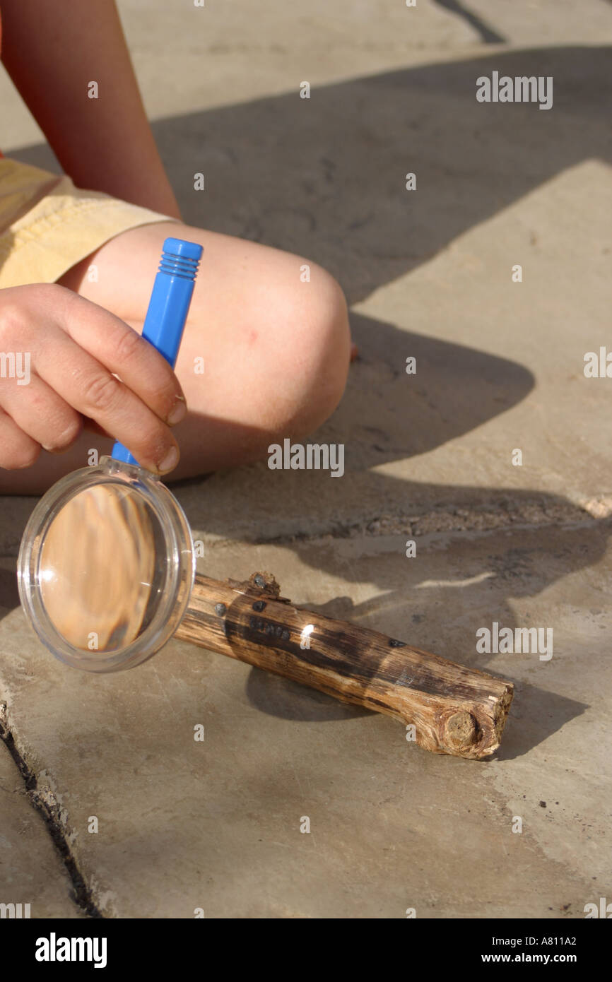 Child using magnifying glass hi-res stock photography and images - Alamy