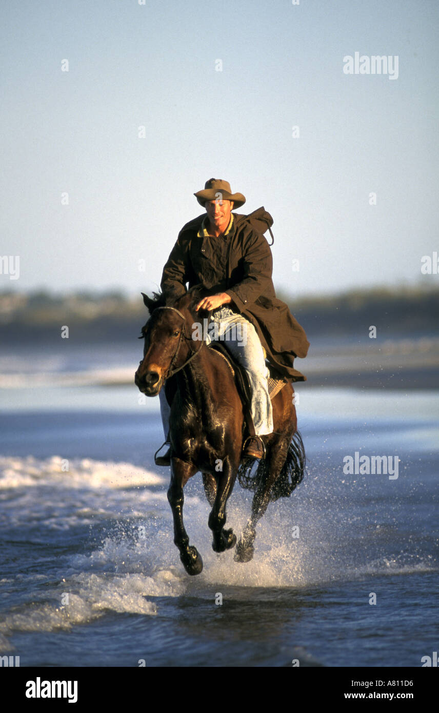 Australia Queensland Noosa man on horseback Stock Photo - Alamy