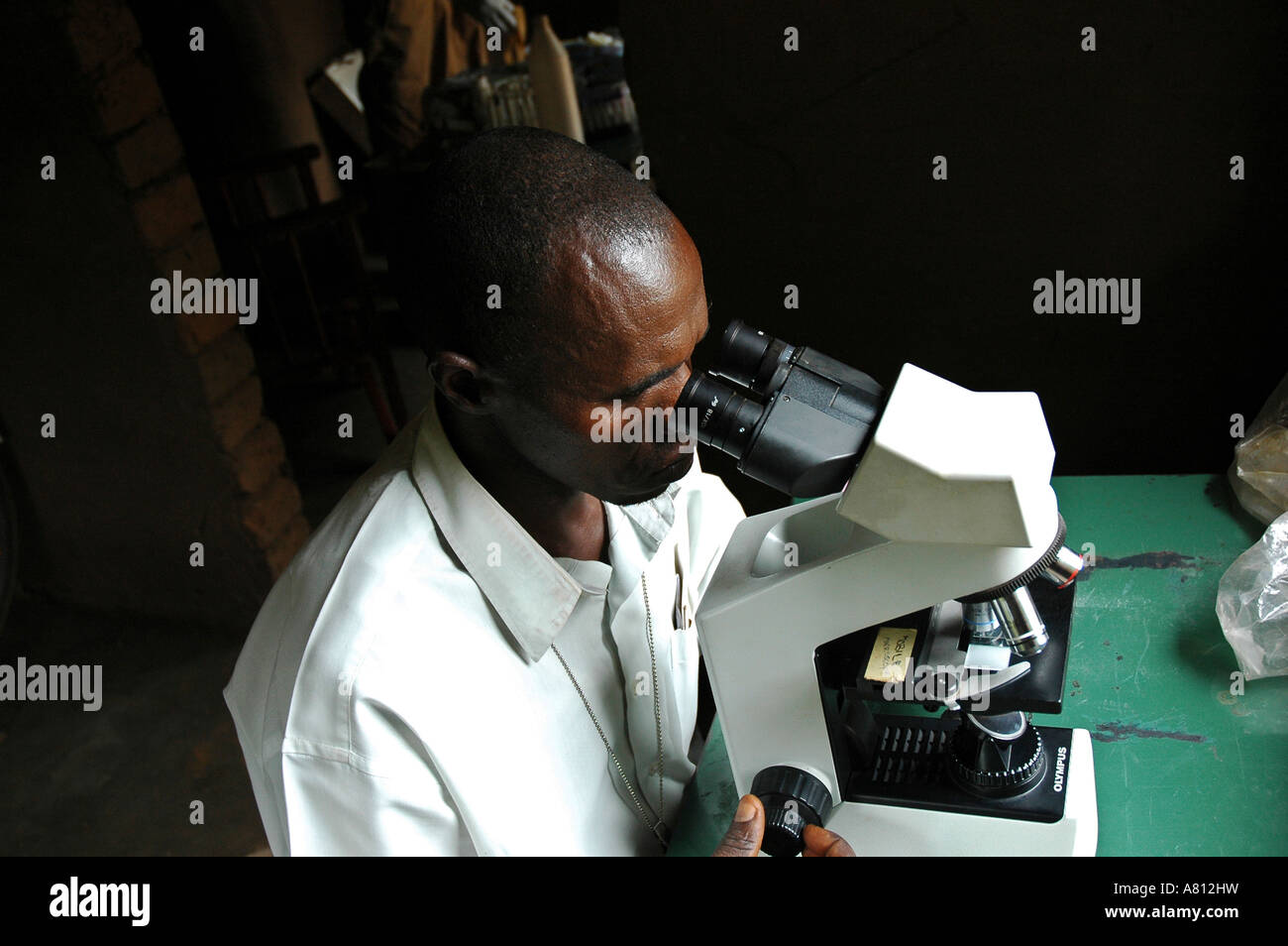 Lab Technician using the microscope Stock Photo - Alamy