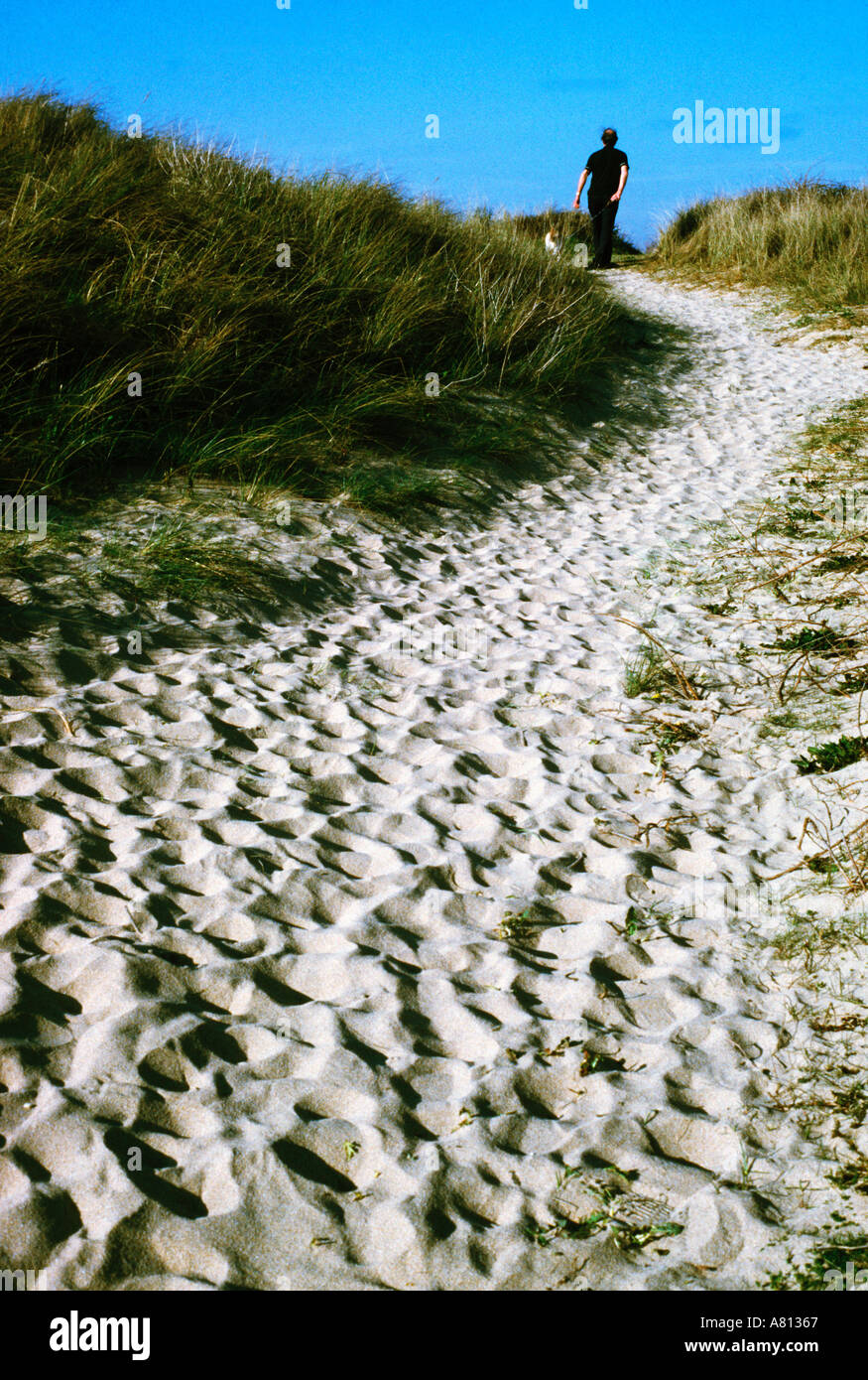 Sand dunes path footprints grass Stock Photo - Alamy
