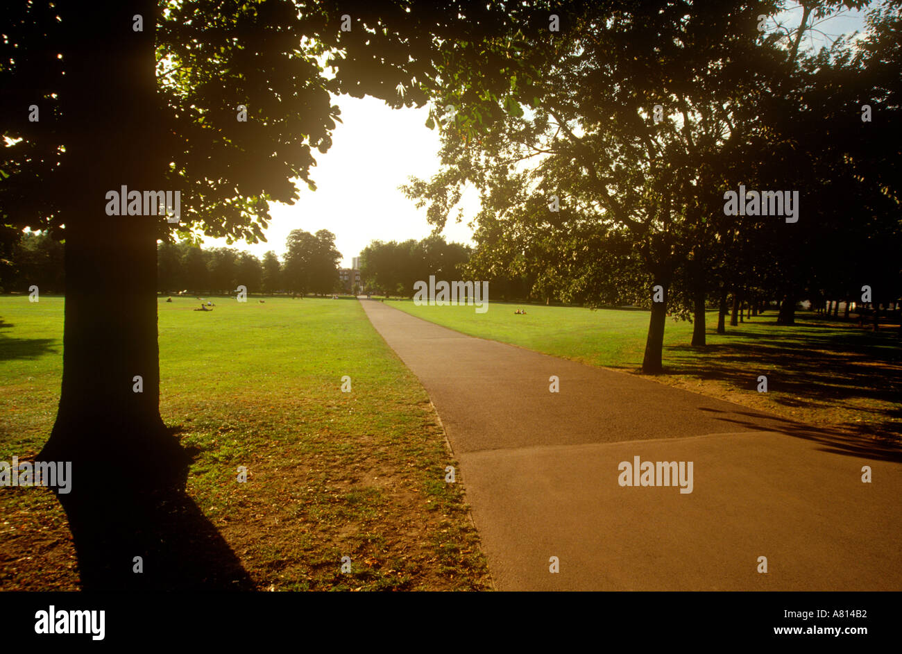 Path through Greenwich Park London England UK Stock Photo - Alamy