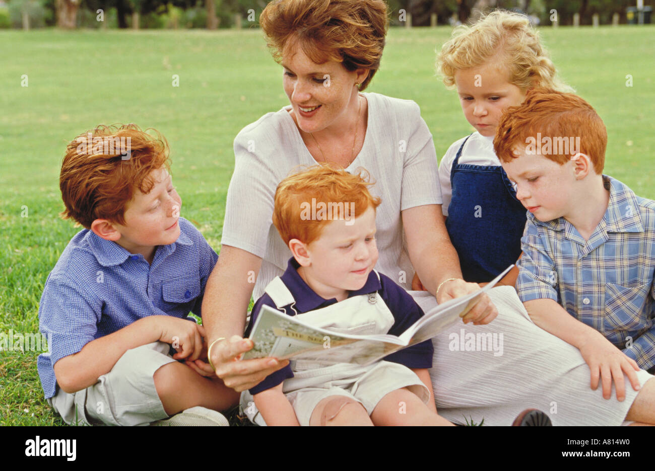 mother and four children sitting on a meadow reading a book Stock Photo ...
