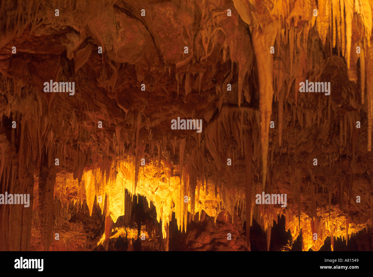 Ngilgi cave hi-res stock photography and images - Alamy