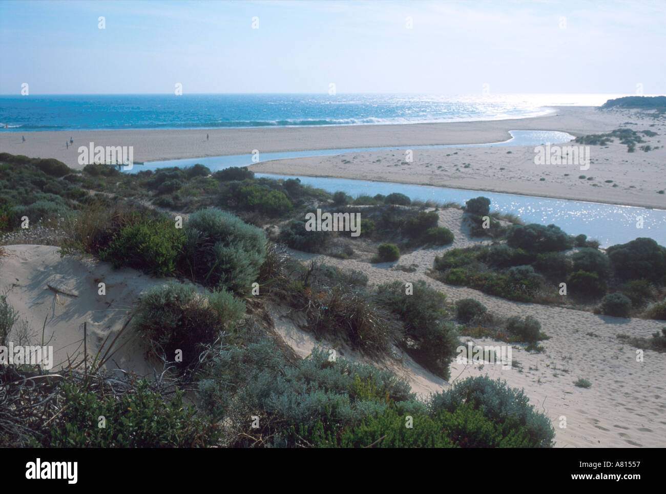 Margaret of bar hi-res stock photography and images - Alamy