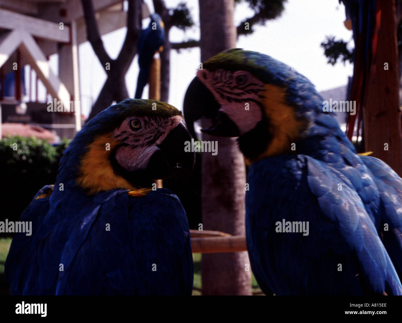 Miami seaquarium hi-res stock photography and images - Alamy