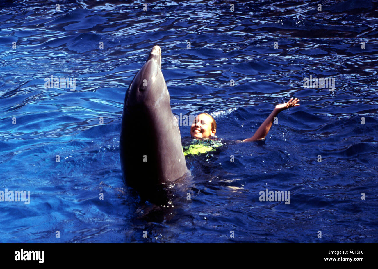 Dolphin and Trainer Stock Photo - Alamy