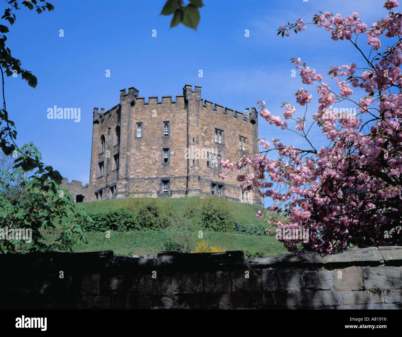Durham University Library, England Stock Photos & Durham University ...