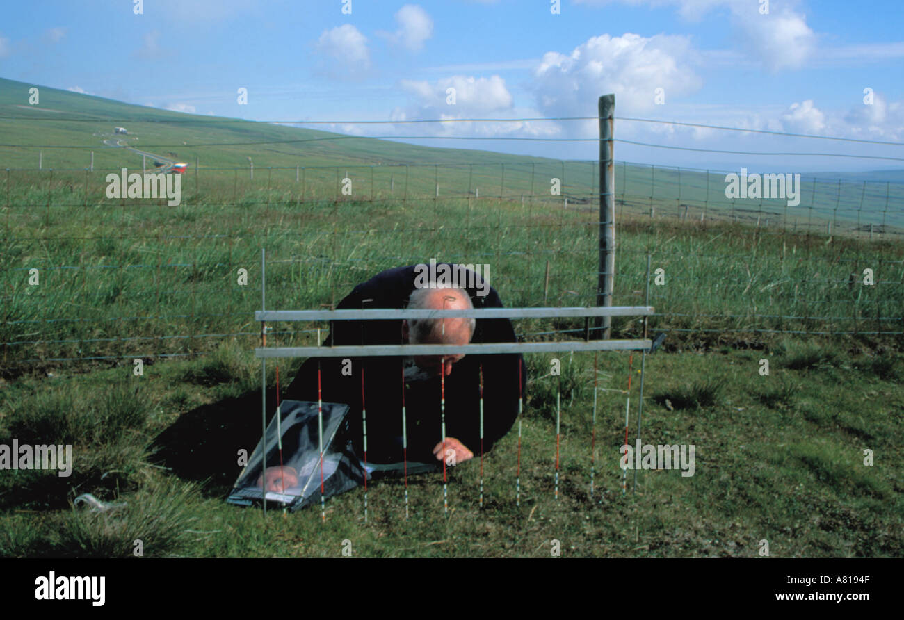 Pinframe, also known as a Point Quadrat, being used during an Stock ...