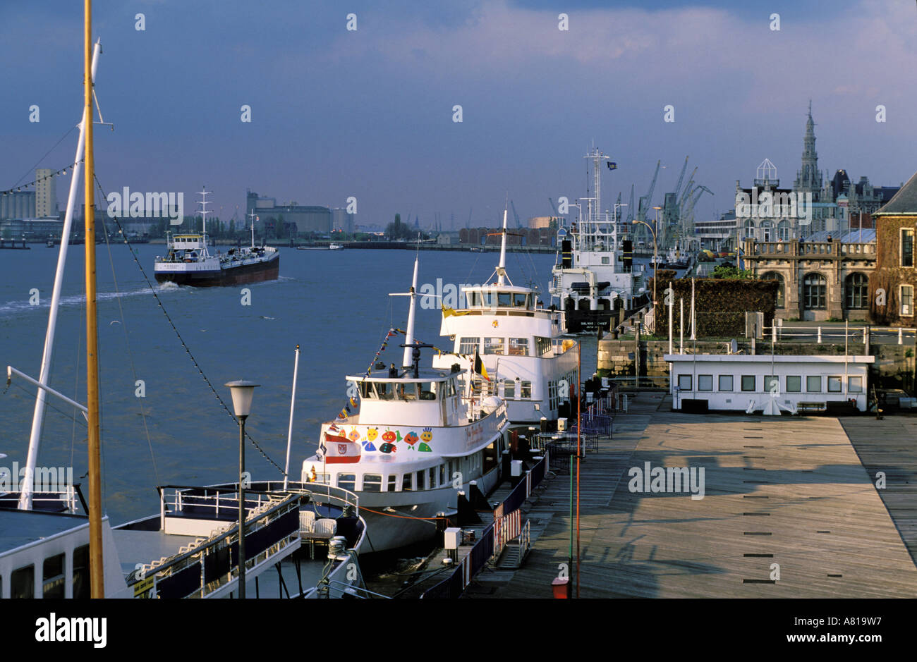 Antwerp river hi-res stock photography and images - Alamy