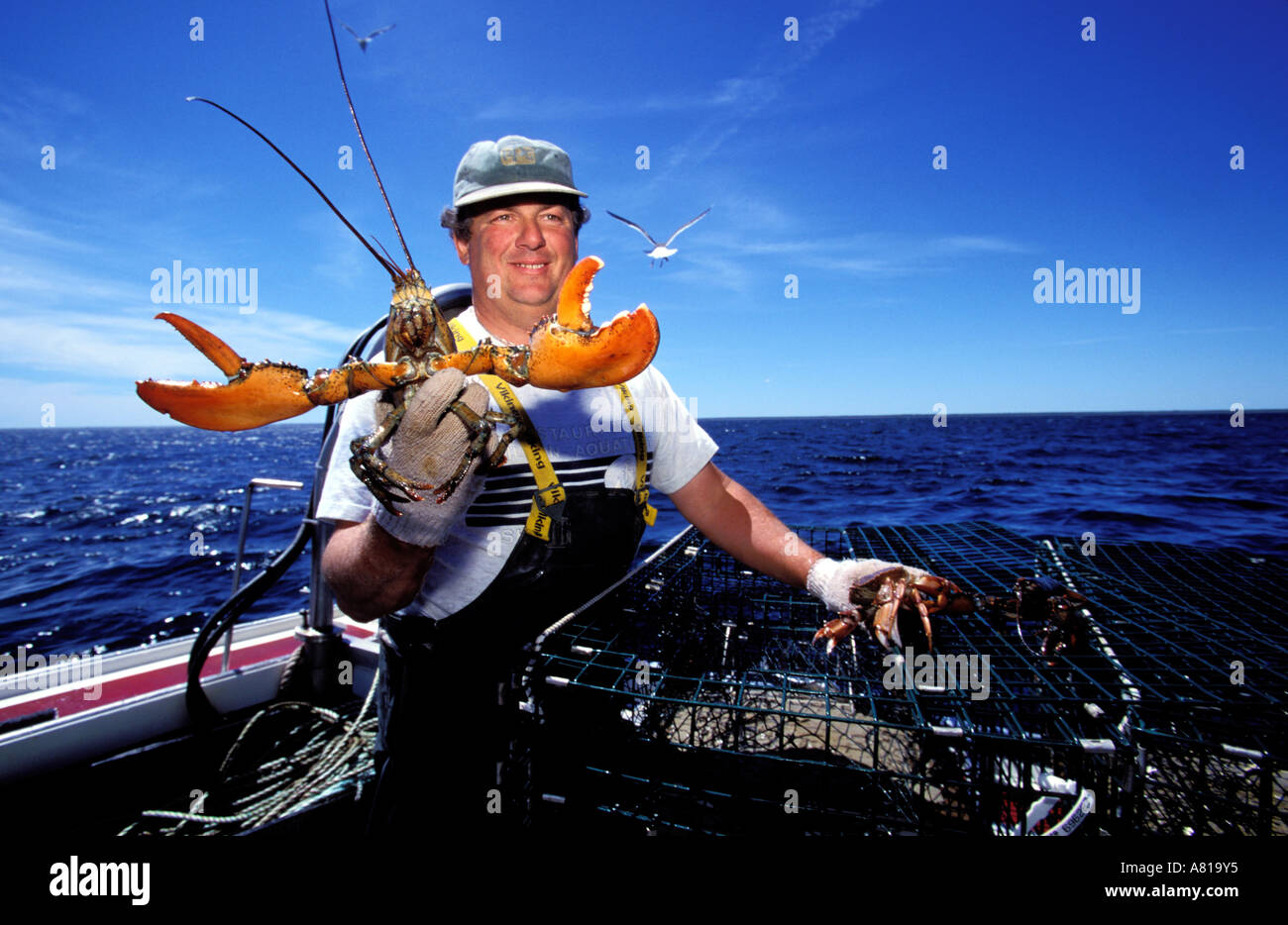Canada, New-Brunswick, lobster fisherman on Acadian coast Stock Photo ...