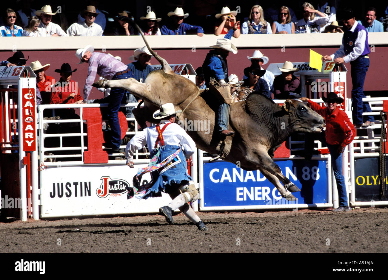 Calgary stampede rodeo hi-res stock photography and images - Alamy