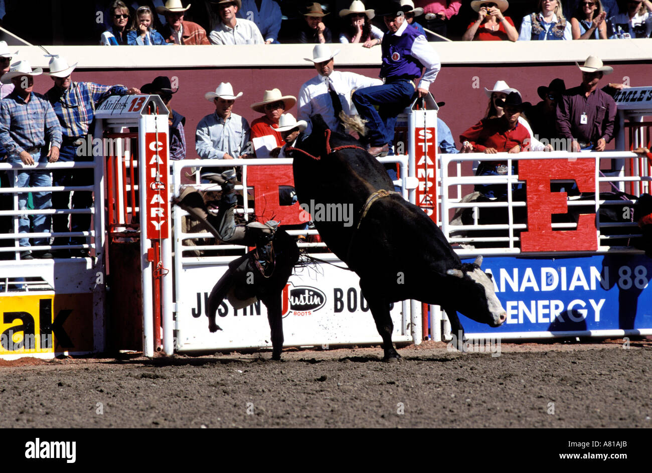 Rodeo in alberta hi-res stock photography and images - Alamy
