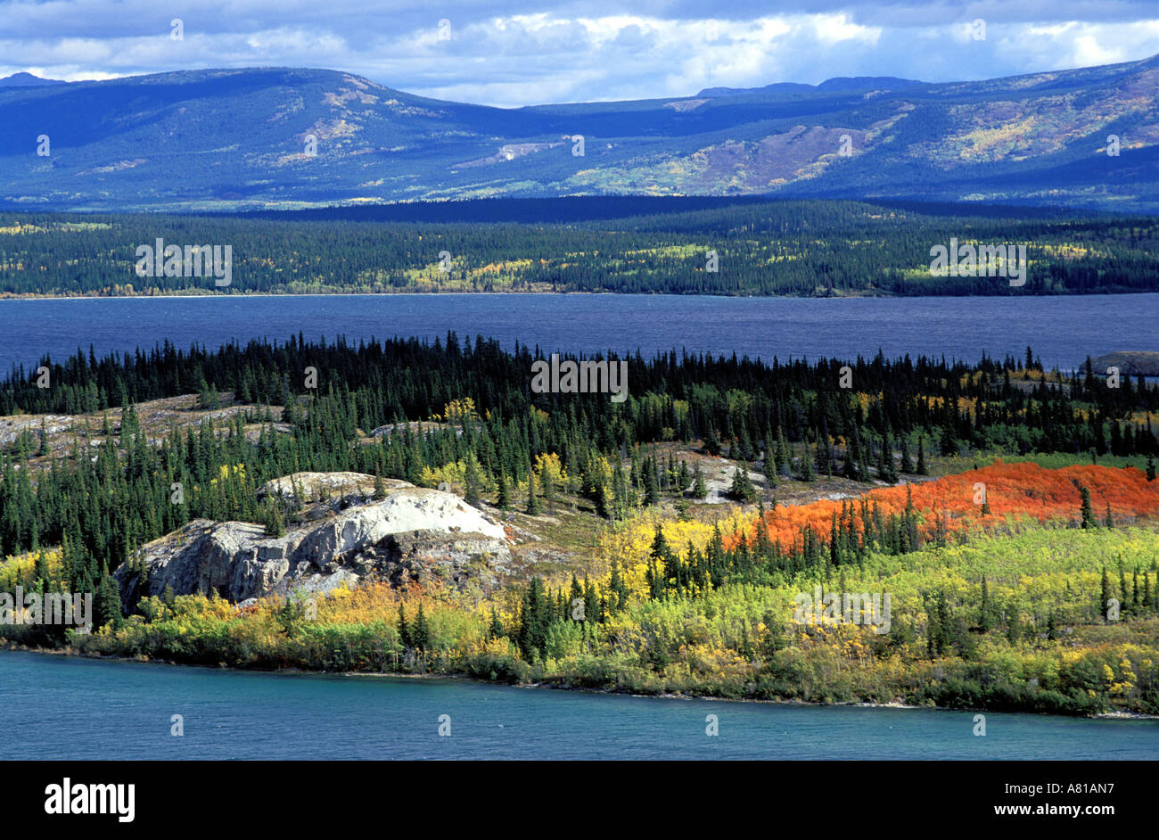 Bove island hi-res stock photography and images - Alamy