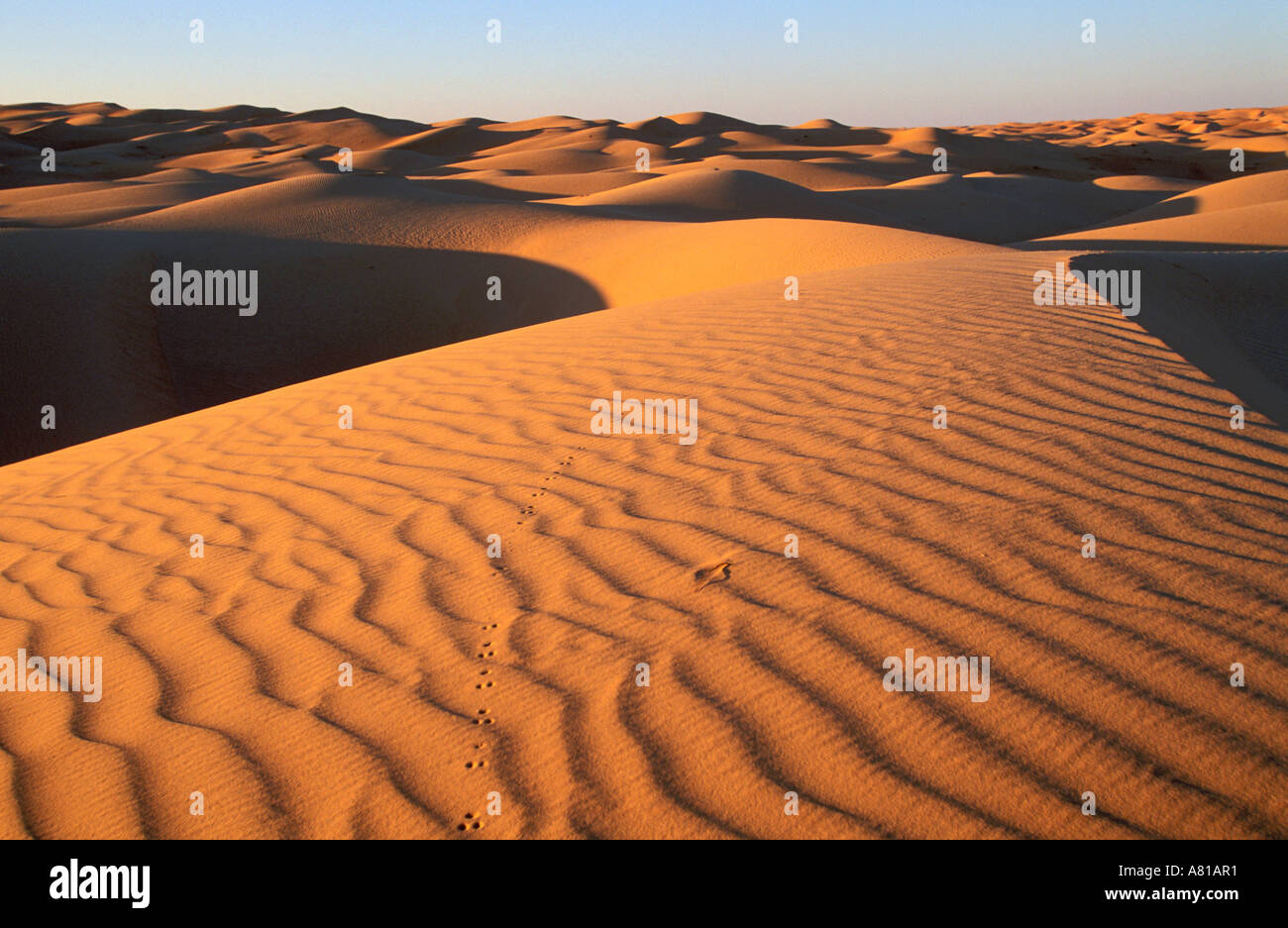 Mauritania desert hi-res stock photography and images - Alamy