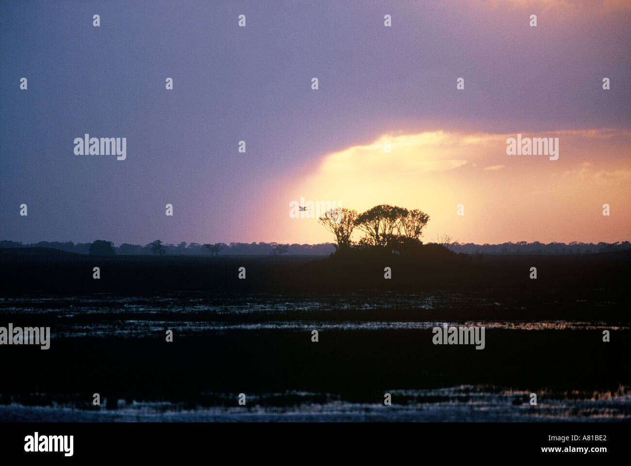 Wetlands bool lagoon south australia hi-res stock photography and ...