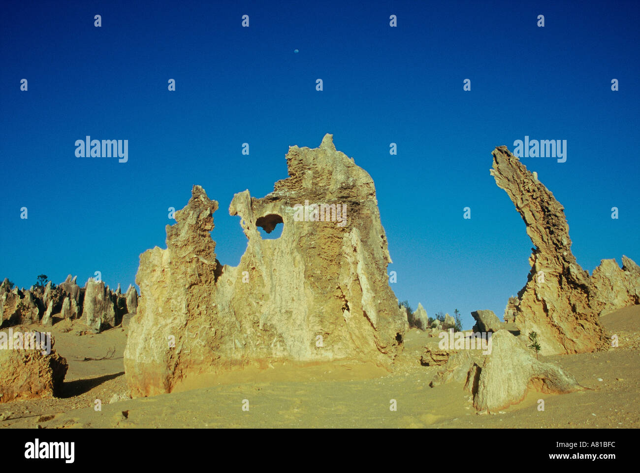 Rock formation of the Pinnacles Western Australia with full moon lit by ...