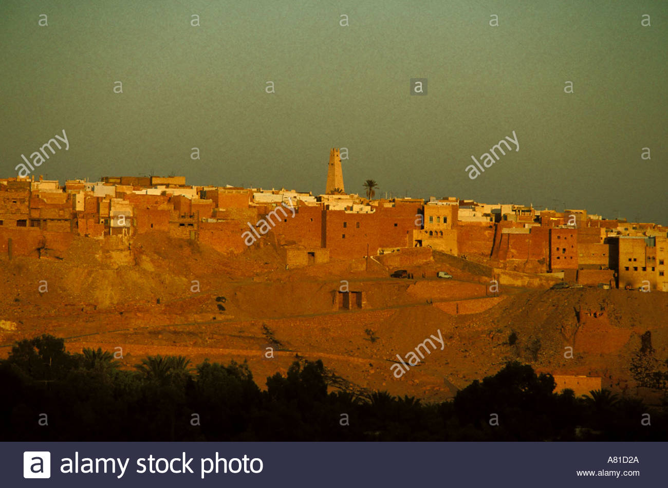 Melika Stock Photos & Melika Stock Images - Alamy