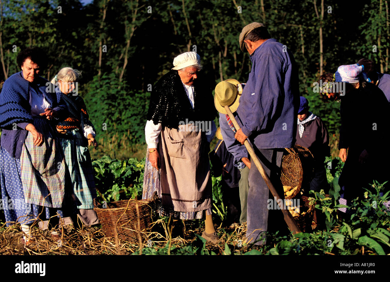 France, Haut Rhin, village of Ungersheim, rural scene at Ecomuseum of ...