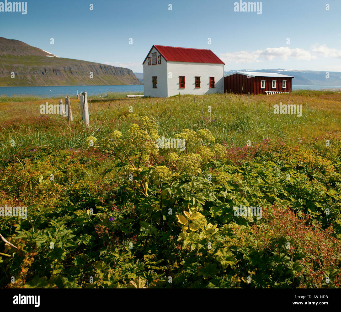 Hesteyri hi-res stock photography and images - Alamy