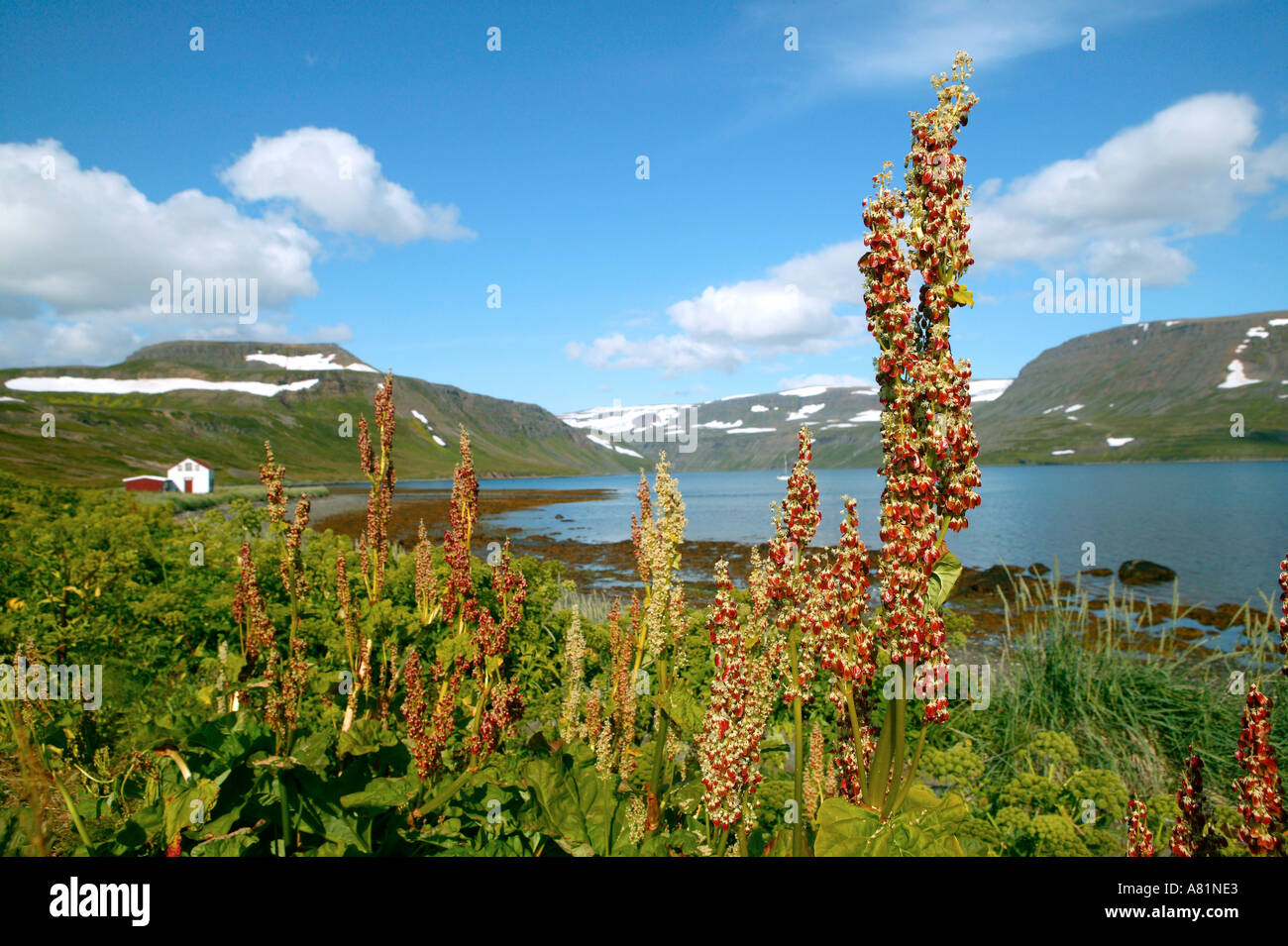 Hesteyri hi-res stock photography and images - Alamy