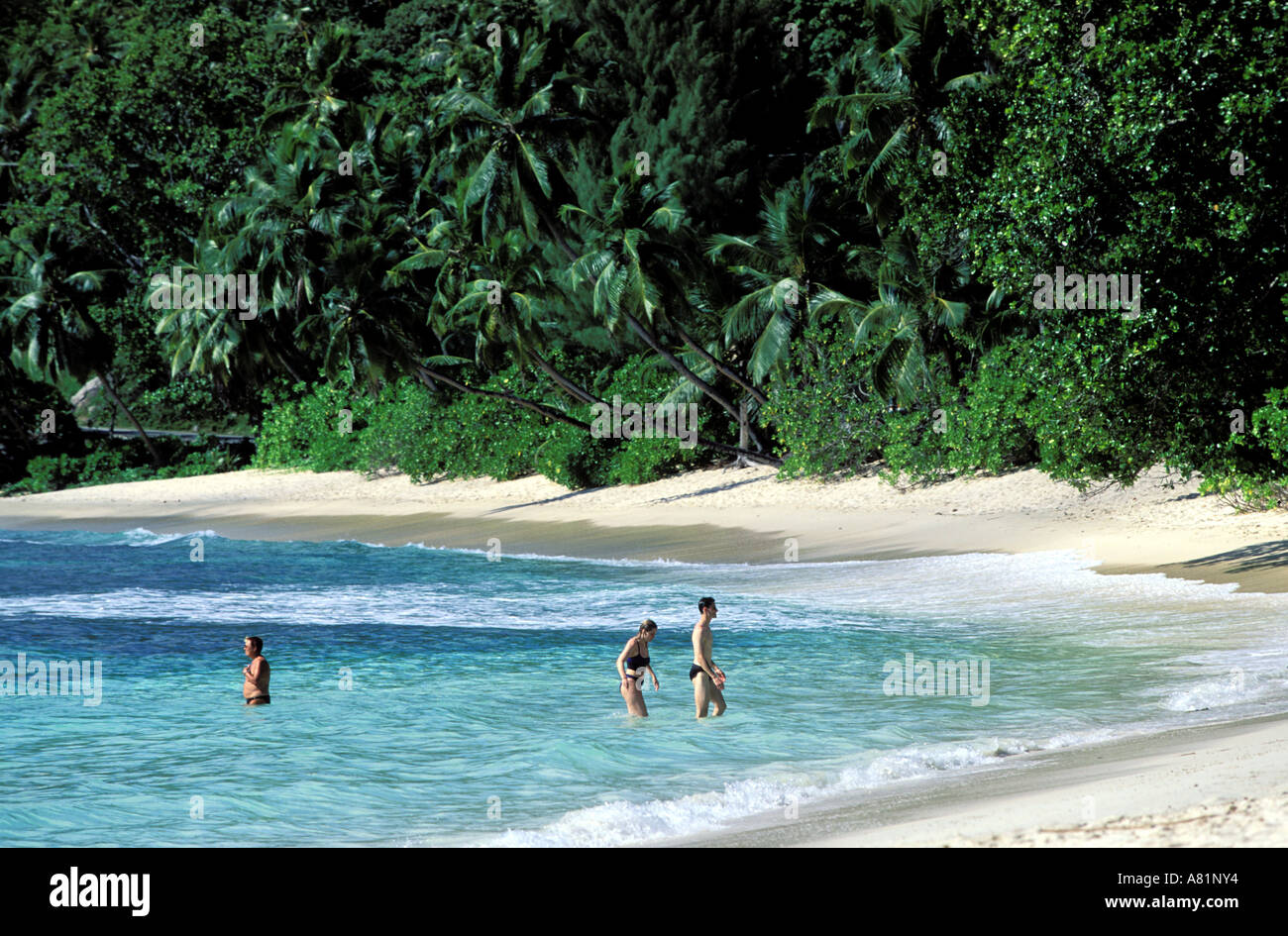 Seychelles, Mahe island, Anse Intendance beach Stock Photo - Alamy