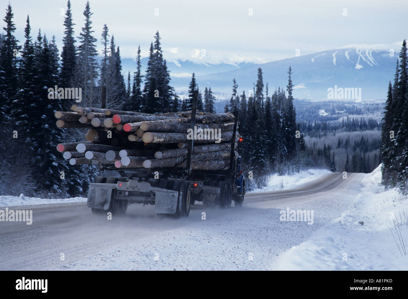 Loaded logging truck on way to mill Smithers British Columbia Stock ...