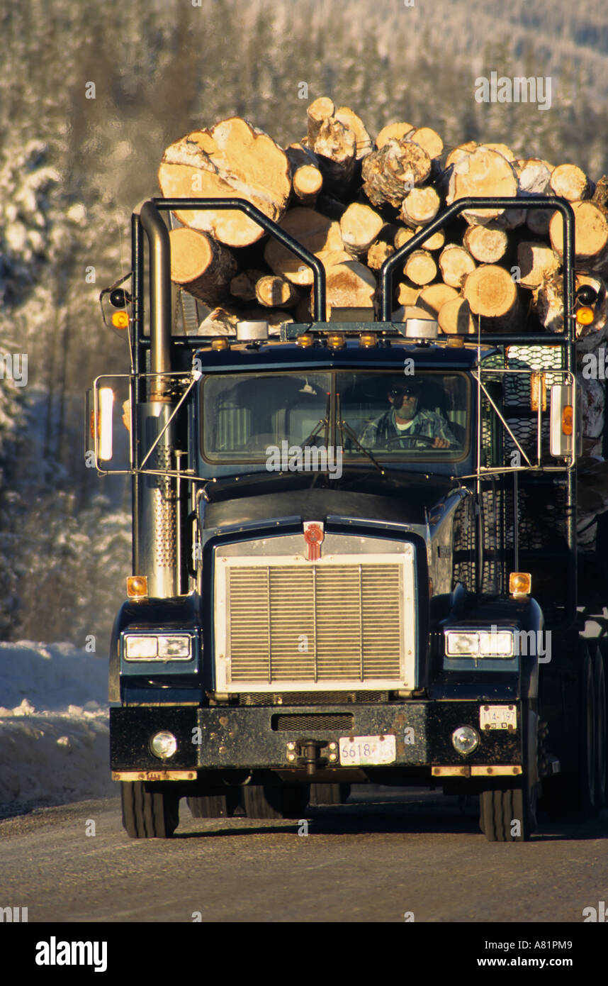 Loaded logging truck Smithers British Columbia Stock Photo - Alamy