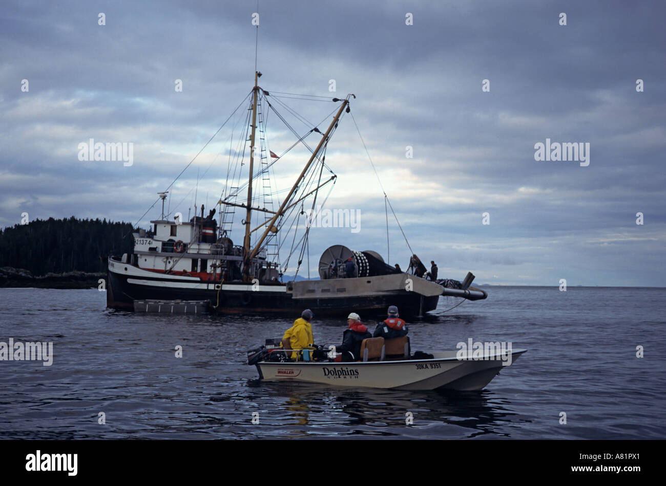 Commercial fishing seiner with sportfishing boat Chatham Sound Prince ...