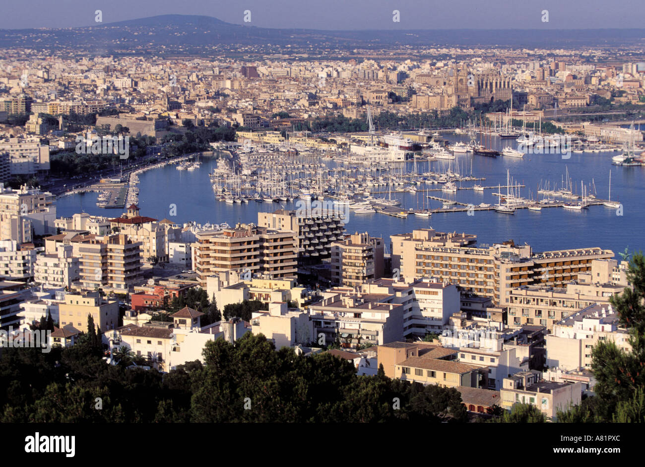 Spain, Balearic Islands, Majorca Island, Palma de Majorqua Stock Photo ...