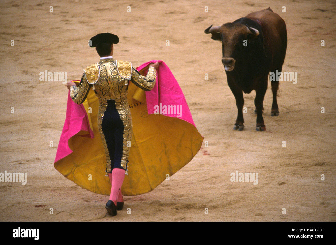 Pamplona bull ring hi-res stock photography and images - Alamy
