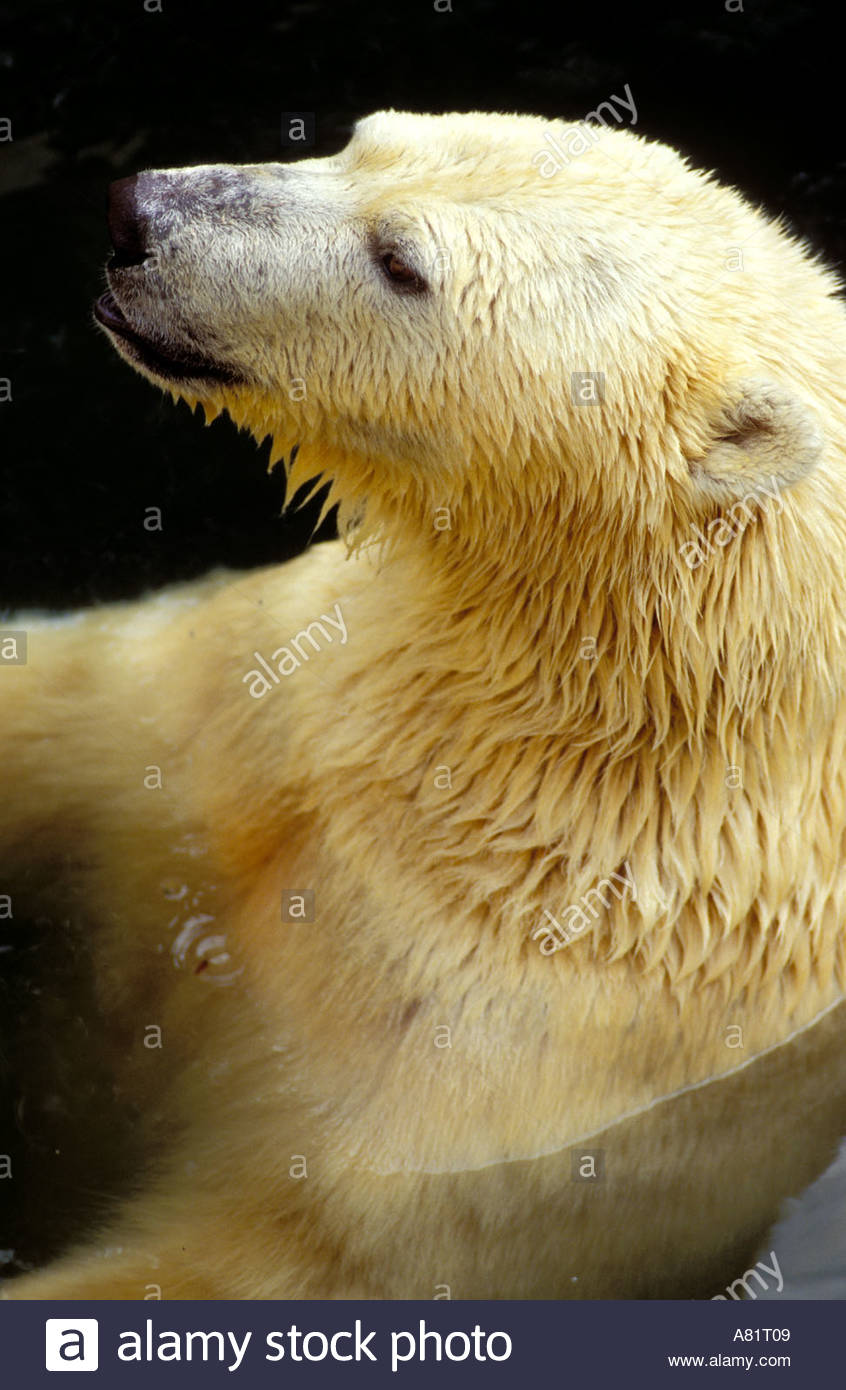 La Palmyre Stock Photos & La Palmyre Stock Images - Alamy