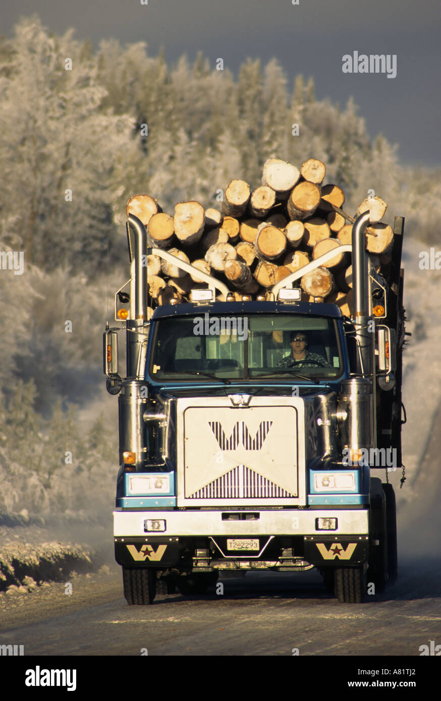 Loaded logging truck Smithers British Columbia Stock Photo - Alamy